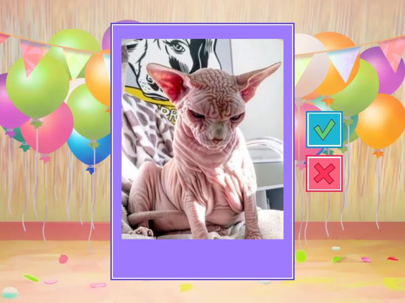 UI 2B Adjective order (production, custom) - Tarjetas flash