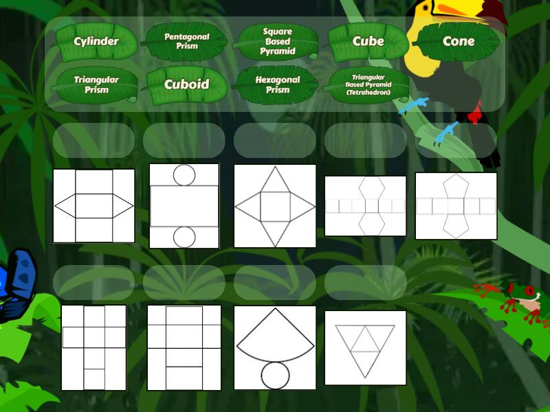 3D Shapes And Their Nets - Match up