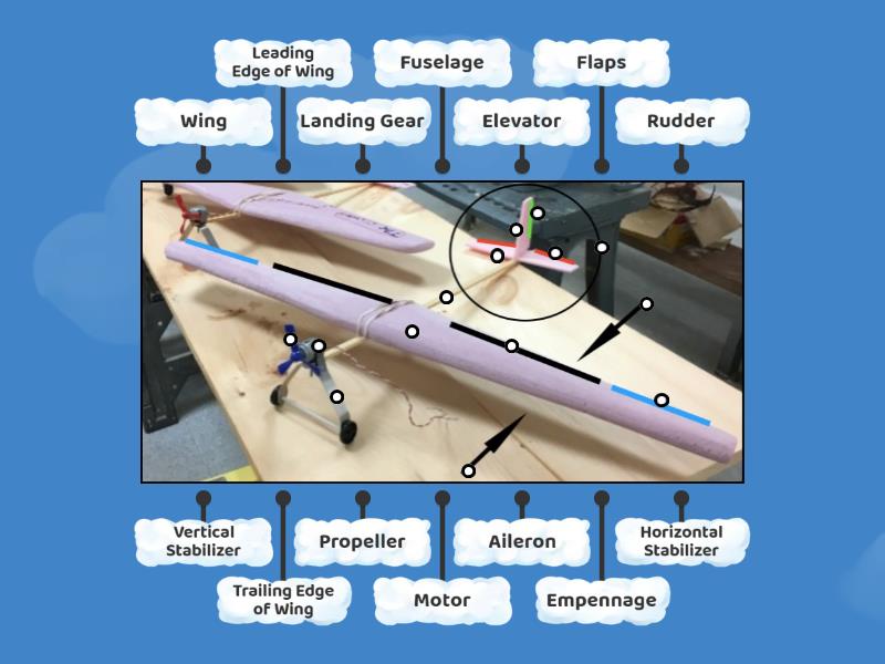 Parts of an Airplane - Labelled diagram