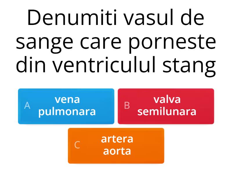Sistemul circulator la mamifere - Quiz