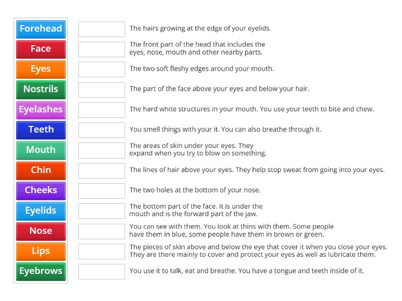 Parts of the Face - Match up