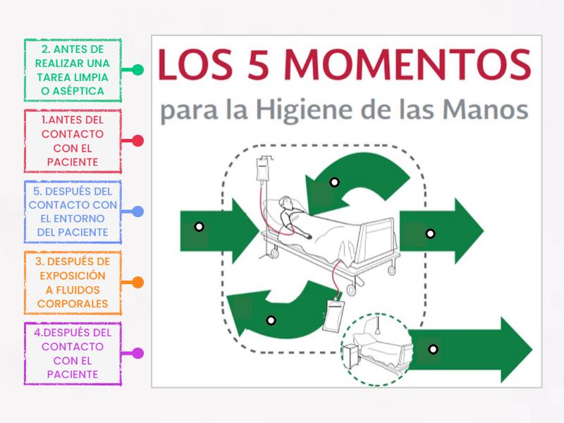 LOS 5 MOMENTOS PARA LA HIGIENE DE MANOS - Diagrama con etiquetas