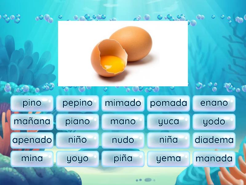 Encuentra las palabras correctas - Find the match