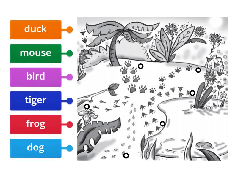 Kid's Box Starter Unit 7 - Labelled diagram