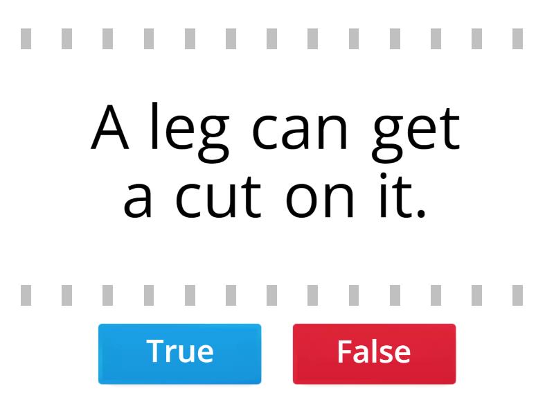 True False - CVC sentences - Verdadero o falso