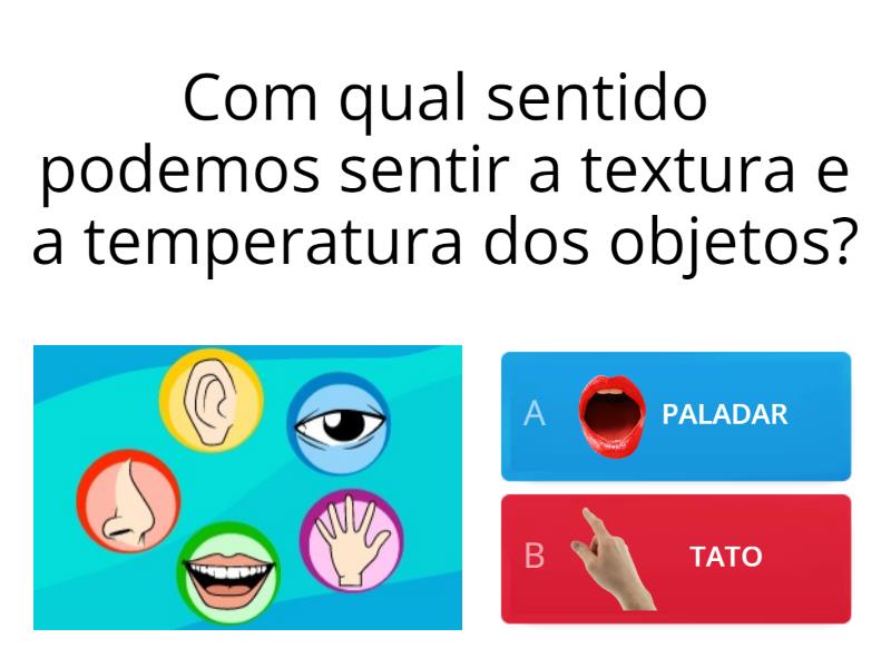 Sentido O Tato- AEFT. Ed.Especial - Quiz