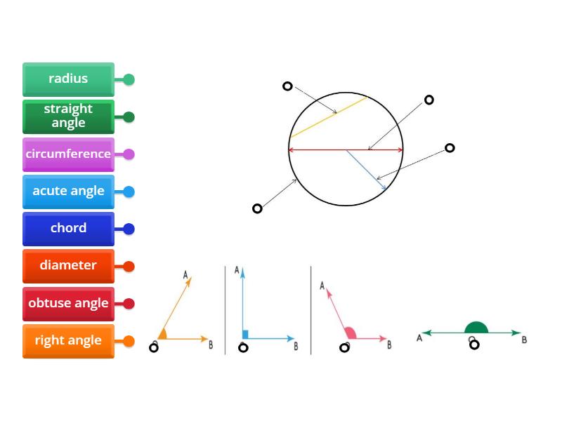 Circles and Angles - Labelled diagram