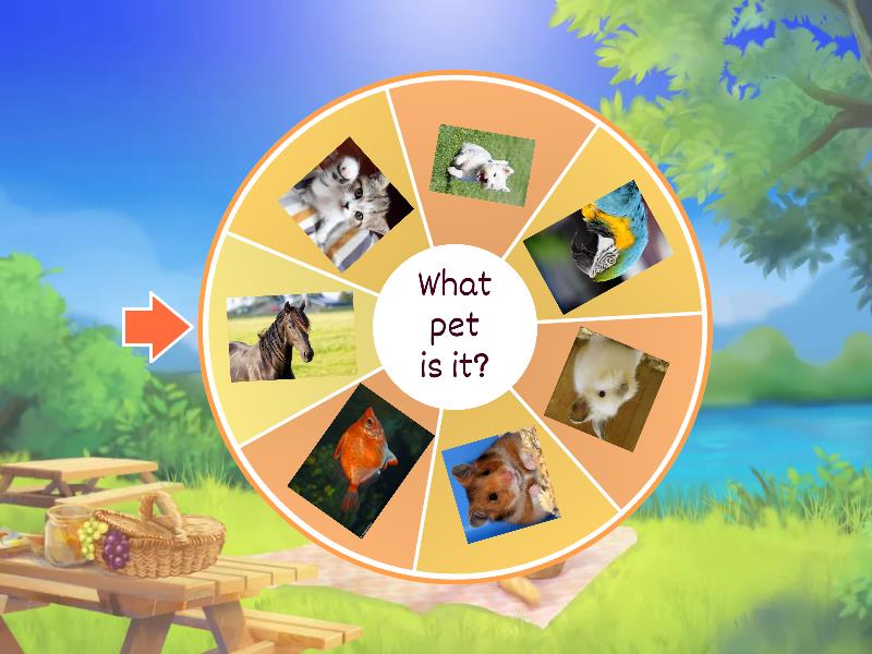 Pets - Spin the wheel