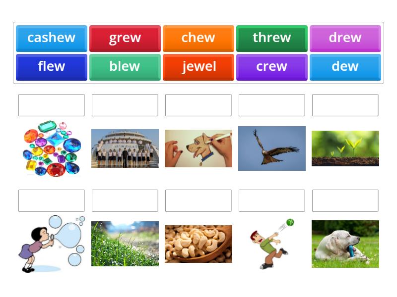 Long U ew words - Match up