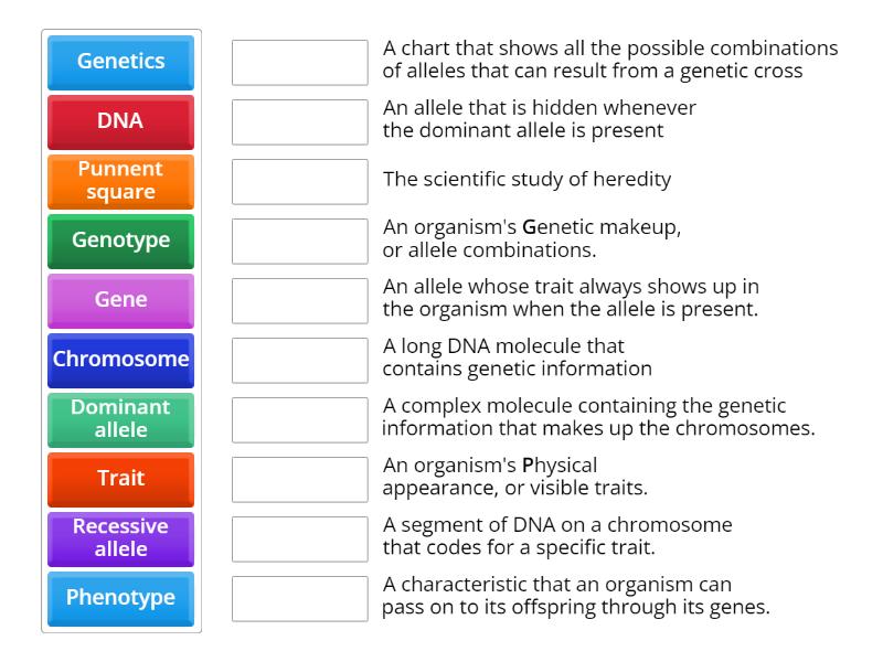 Genetics - 1 - Match up
