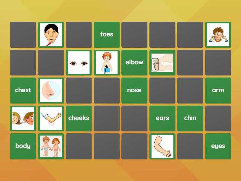 BODY PARTS - Matching pairs