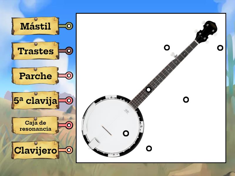 Partes del banjo - Labelled diagram
