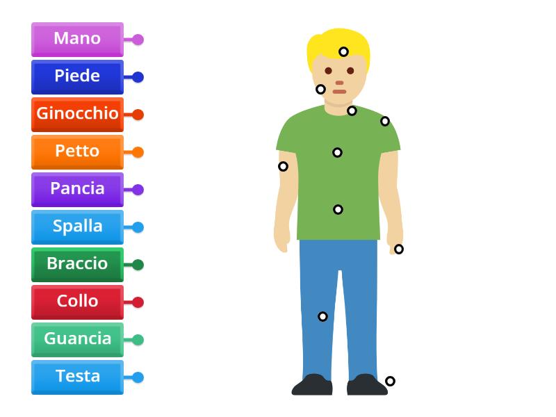 Parti del corpo - Labelled diagram