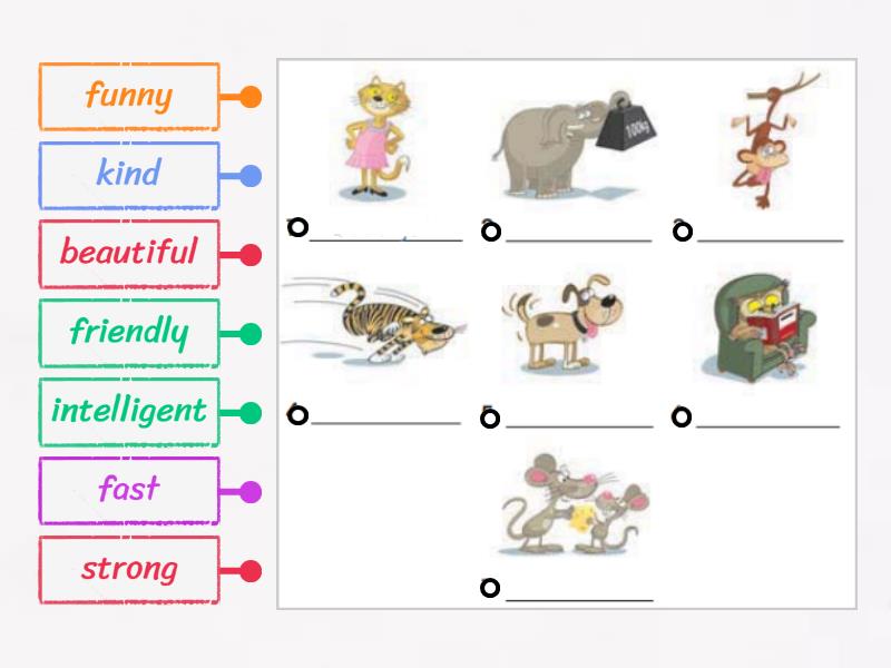 go getter 2 p.51 - words - Labelled diagram