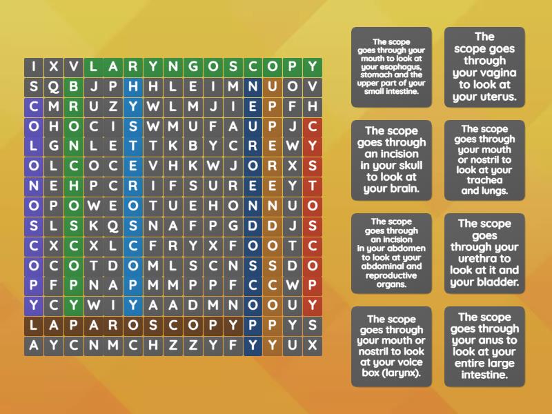 Types of endoscopy - - Wordsearch