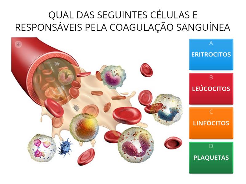 Eliane HemoQuest - A Jornada do Hemograma unifatecie - Quiz