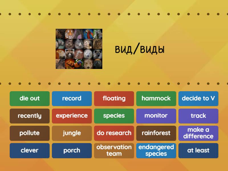 Starlight 6. Module 5e Part 1 - Find the match