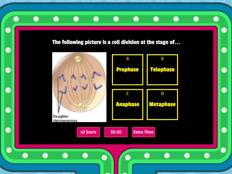 meiosis & mitosis - Gameshow quiz