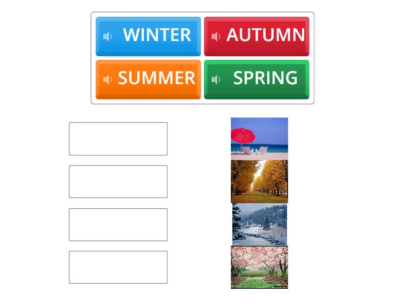 (INGLESE) THE FOUR SEASONS - Match up