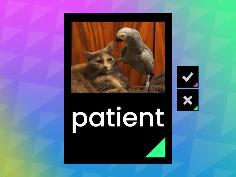 RM B1 1B voc - Flash cards