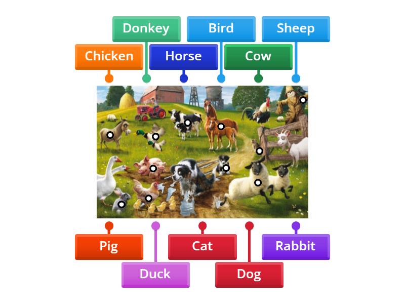 Label the animals - Diagrama con etiquetas