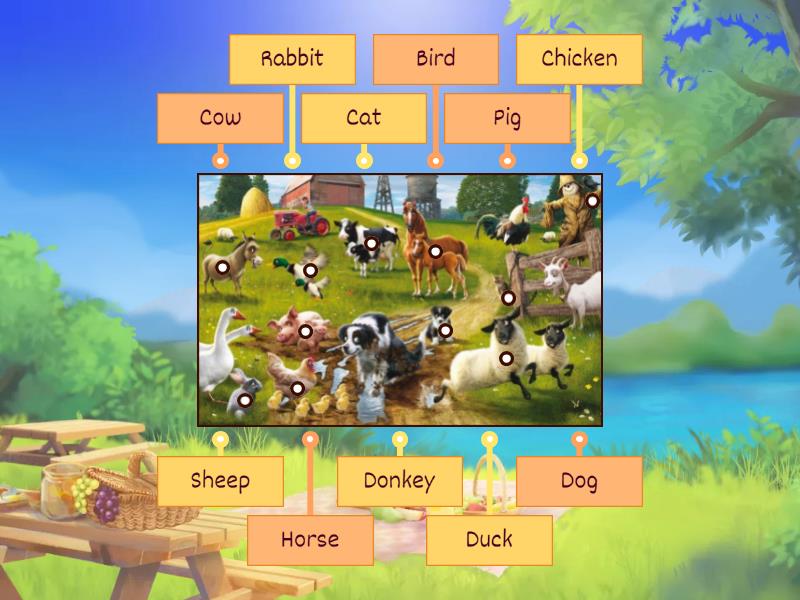 Label the animals - Labelled diagram