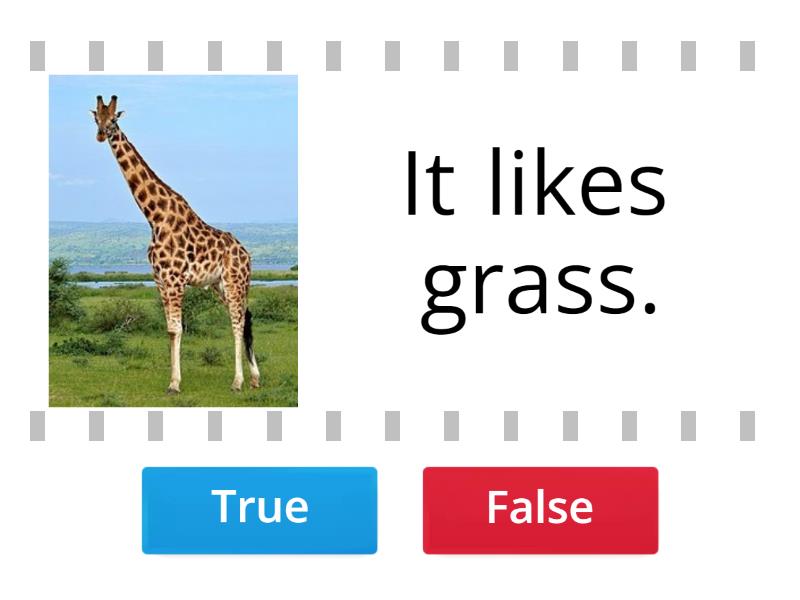 Wild animals - True or false