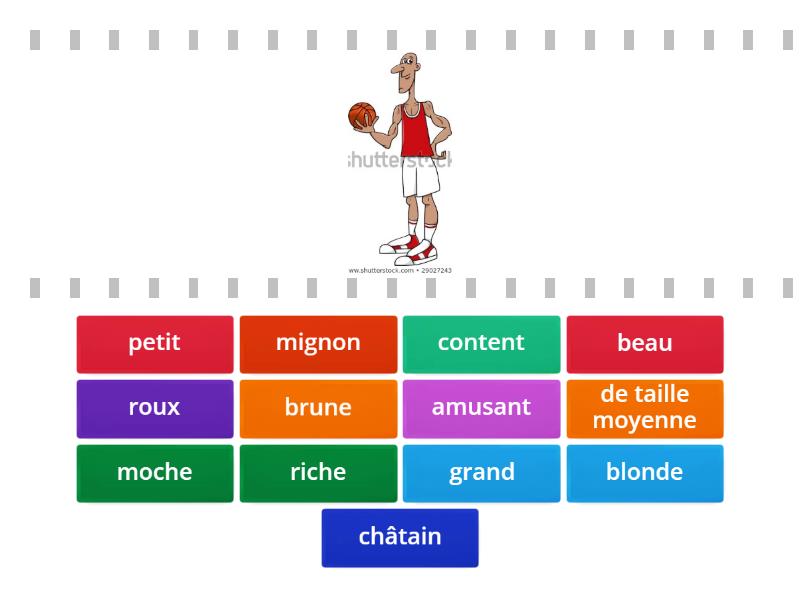 French Adjectives-Physical Descriptions - Find the match