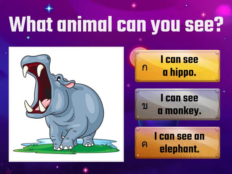 Unit 8 Animals - Quiz