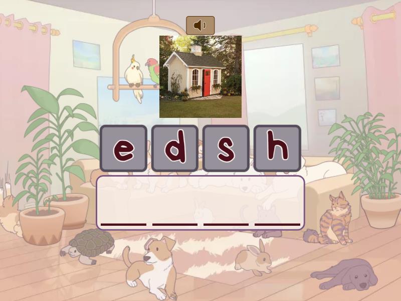 Phonics sh - Anagram