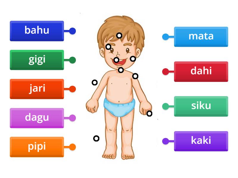 Badan Saya - Labelled diagram