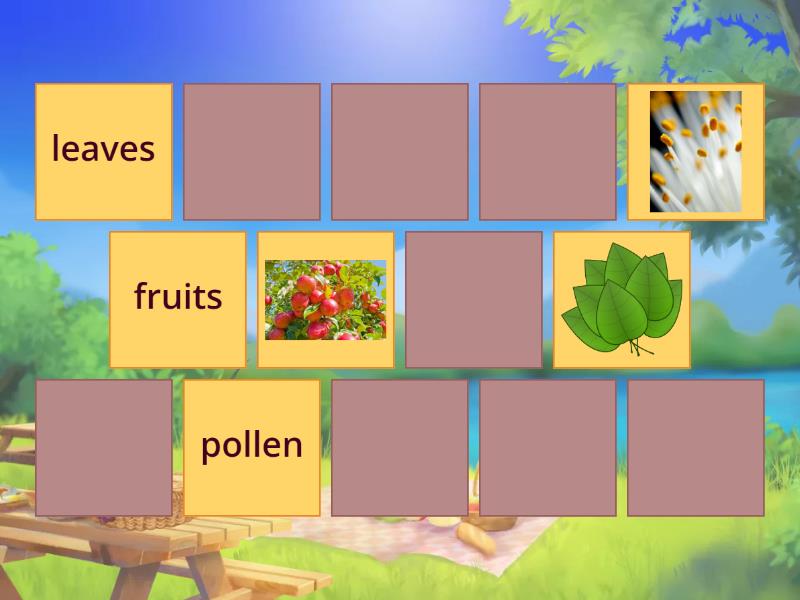 plant parts - Matching pairs