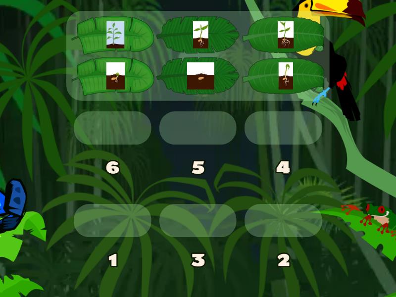 sprout sequence - Match up