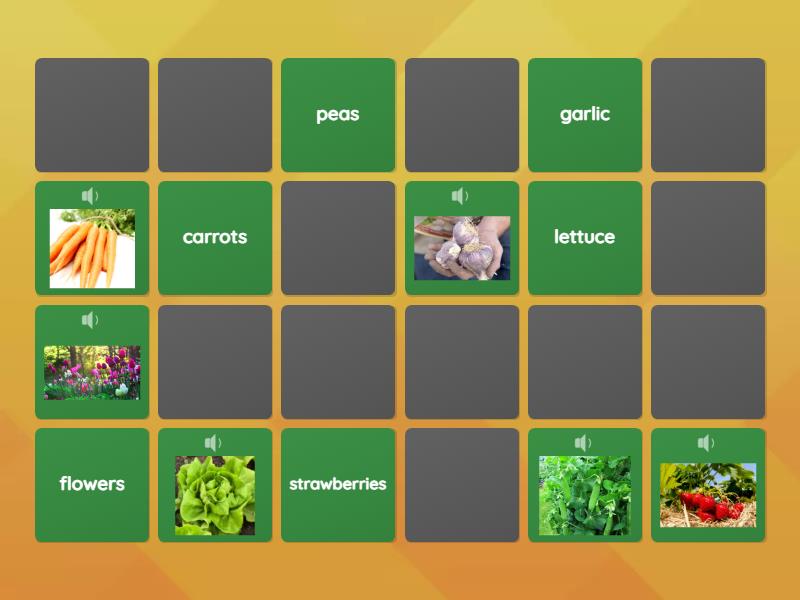 SPRING VOCABULARY - Matching pairs