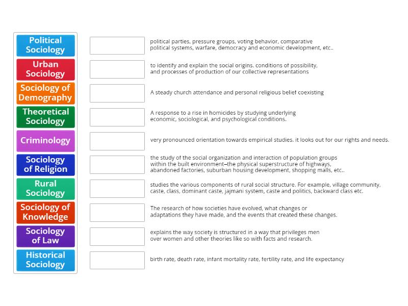 Branches of sociology game Valentina Montejo - Match up