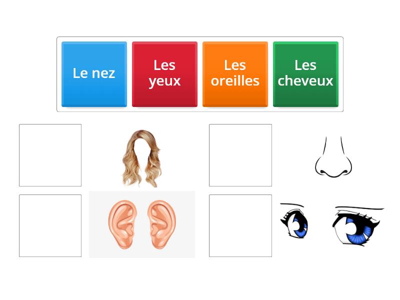 Les parties du visage - Match up