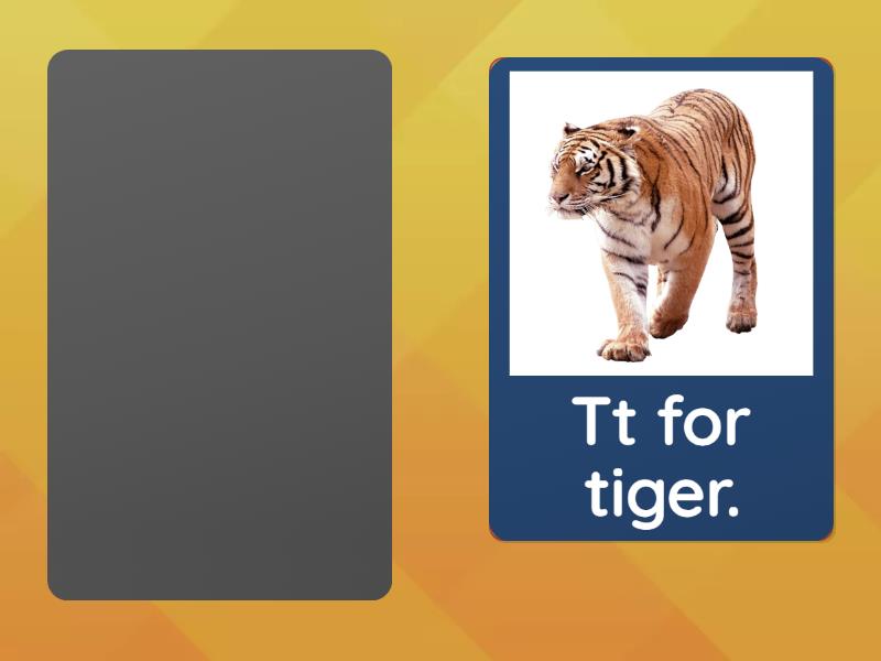 Alphabet Book Tt - Speaking cards