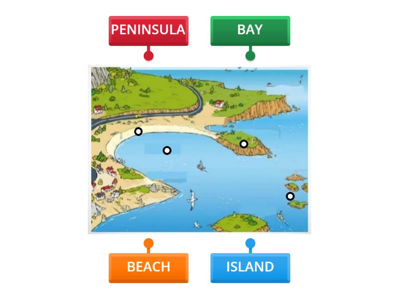 P1 COASTAL LANDSCAPE LABEL - Labelled diagram