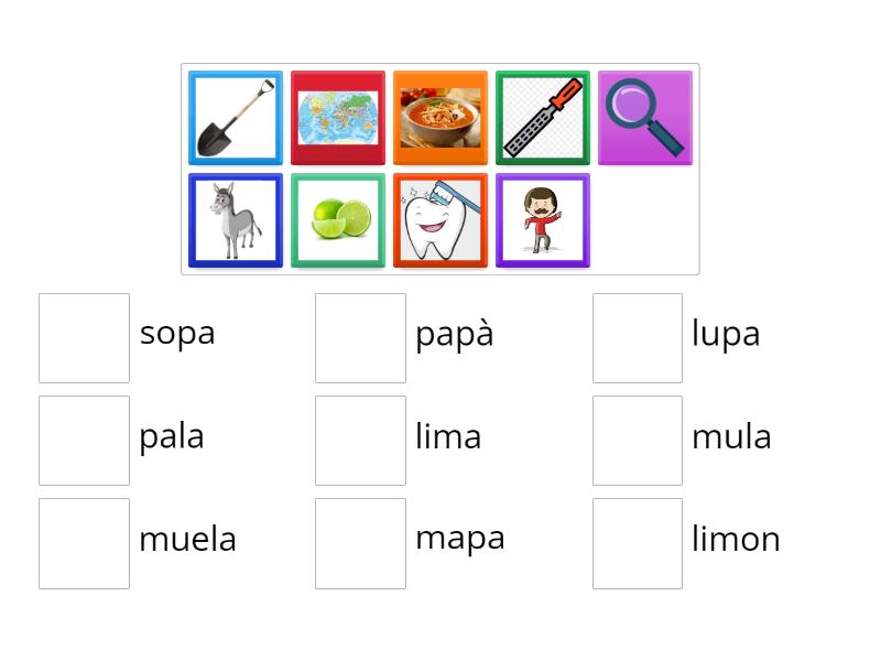 Une la imagen con la palabra que corresponda - Match up