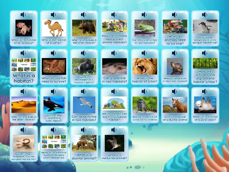 Daily Evaluation Animal habitats - Flip tiles