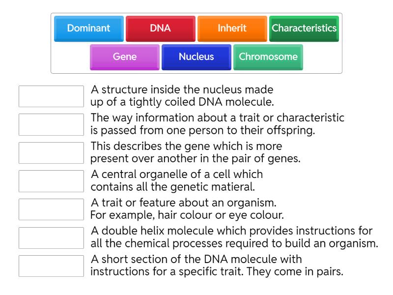 Dna Match Up