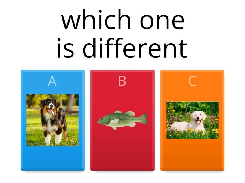 which one is different? - Quiz