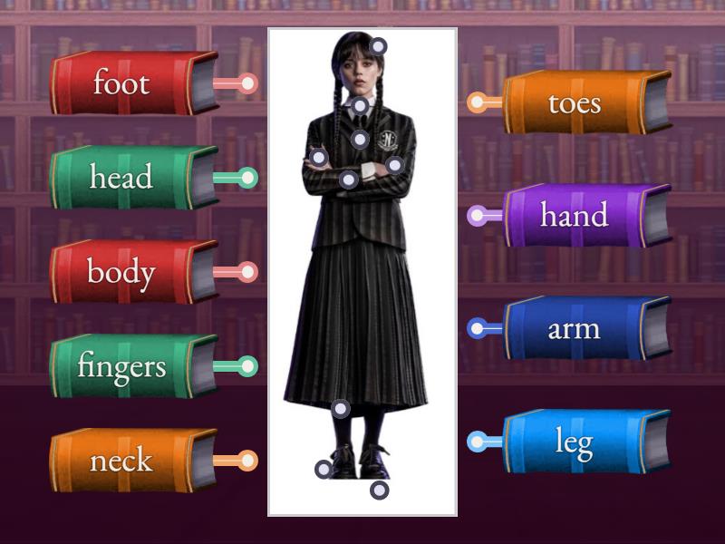 wednesday - Parts of the body Go getter 1 Unit 4.2 - Labelled diagram