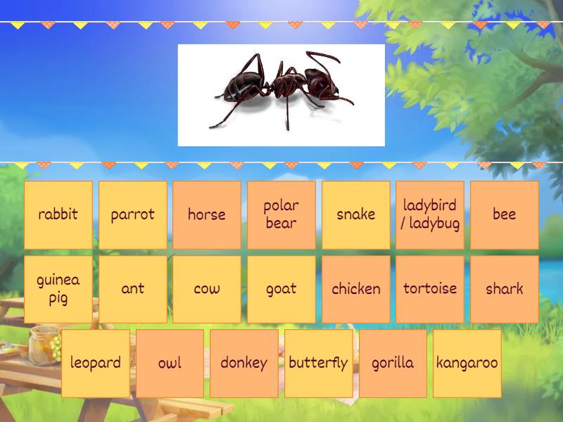 Wider World 2 2nd Unit 3 animals - Find the match