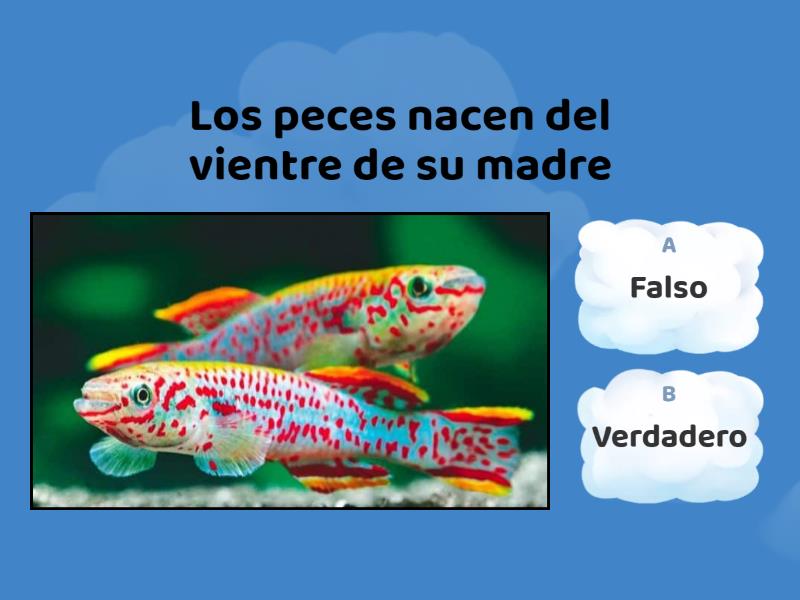 Actividad 1- Los peces - Cuestionario