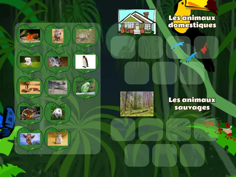 Les animaux domestiques et sauvages - Group sort