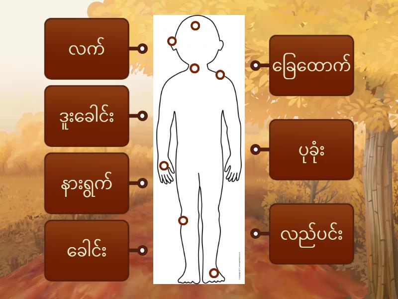 body parts 2 _ Burmese _ Myanmar - Labelled diagram