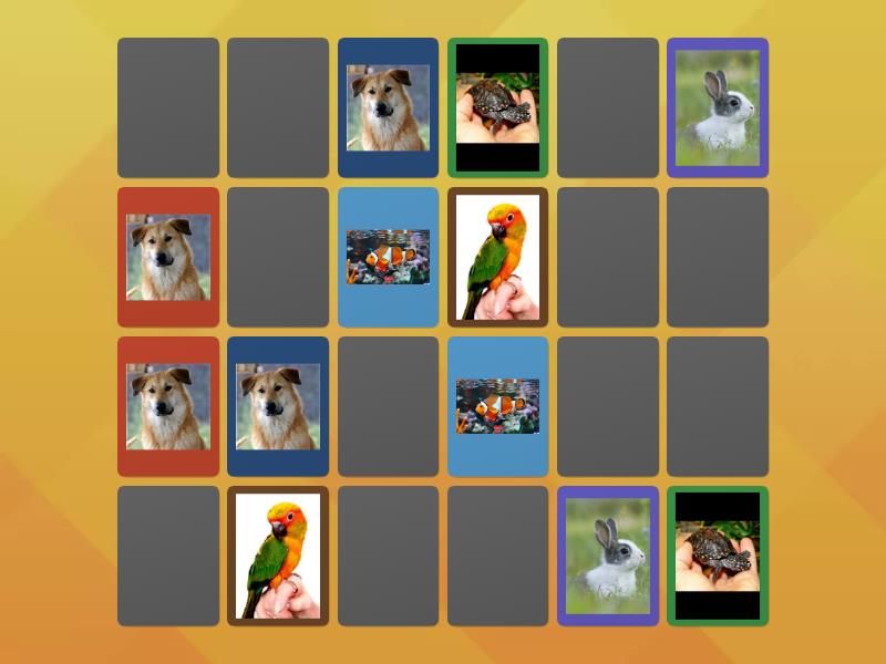 PETS MATCHING - Matching pairs
