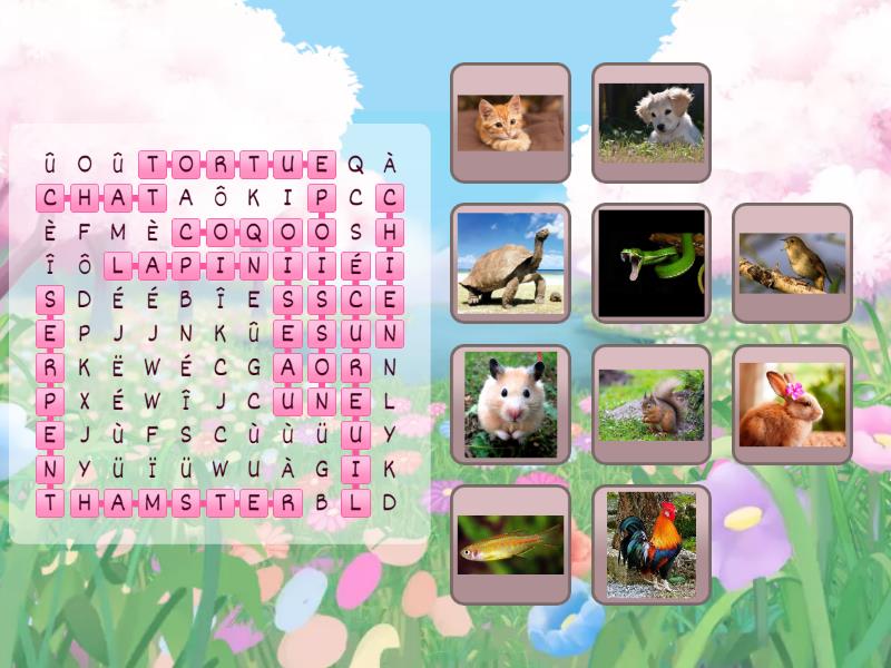 Les animaux domestiques - Wordsearch