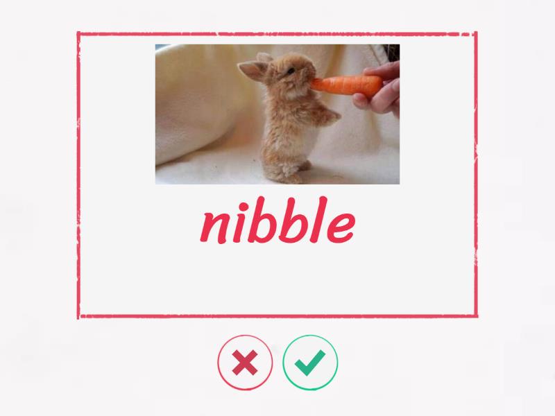 Mindset B1 - Unit 8a - Flash cards